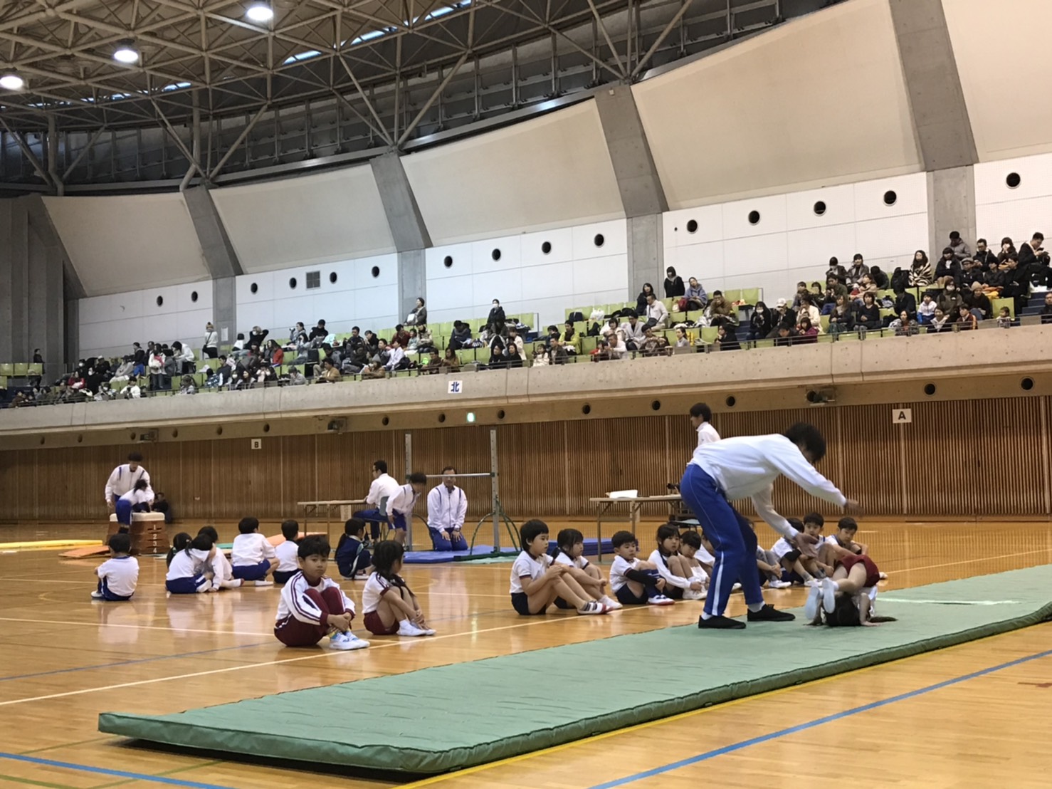 image3 | 株式会社ジャクパ | 幼児体育指導と英会話教室