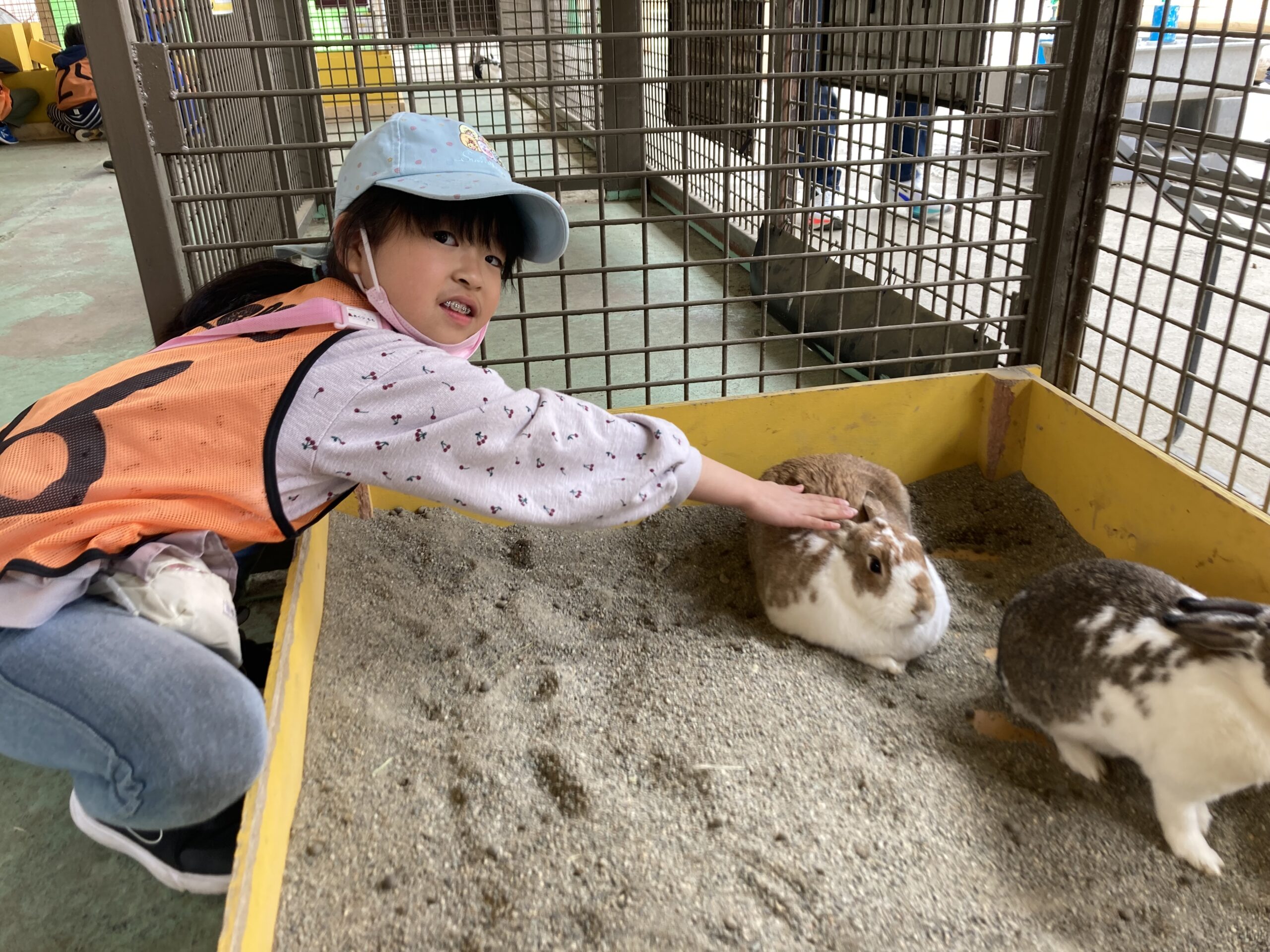 IMG_2015 | 株式会社ジャクパ | 幼児体育指導と英会話教室