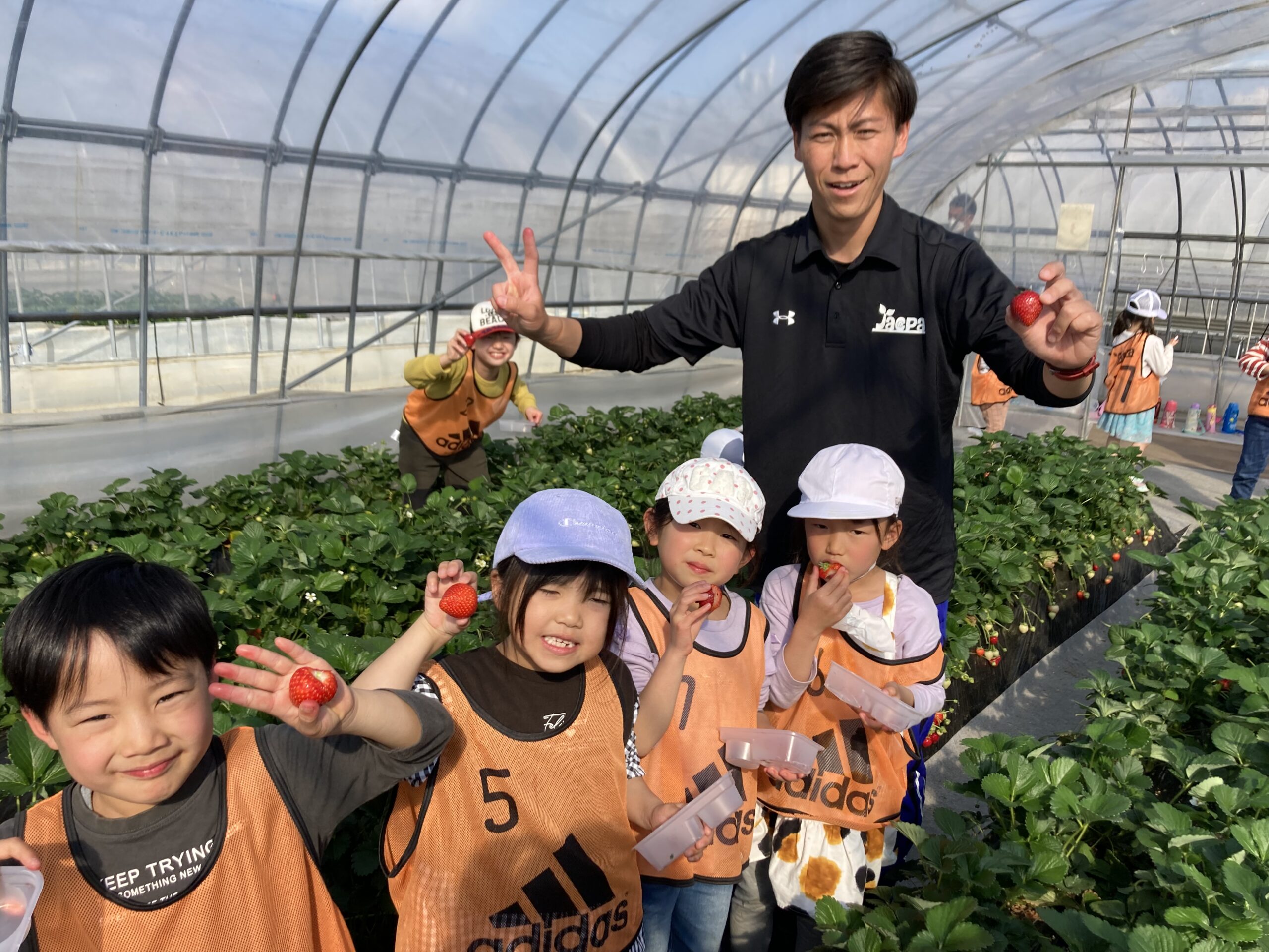 IMG_2032 | 株式会社ジャクパ | 幼児体育指導と英会話教室